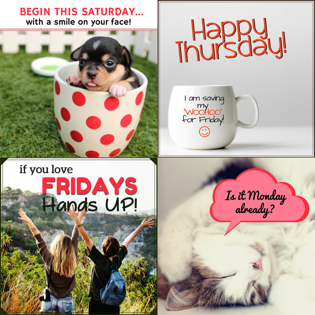 Happy Days Collection 1 – Kim Garst