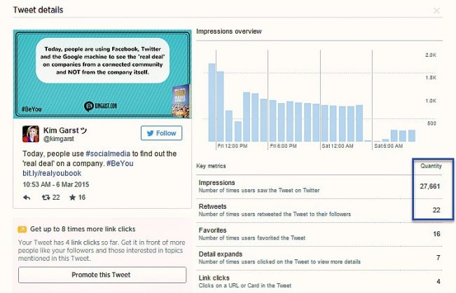 Twitter as a Business-Building Powerhouse – Kim Garst | AI Marketing ...