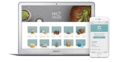 Creating a Membership Program that Rocks! - Kim Garst